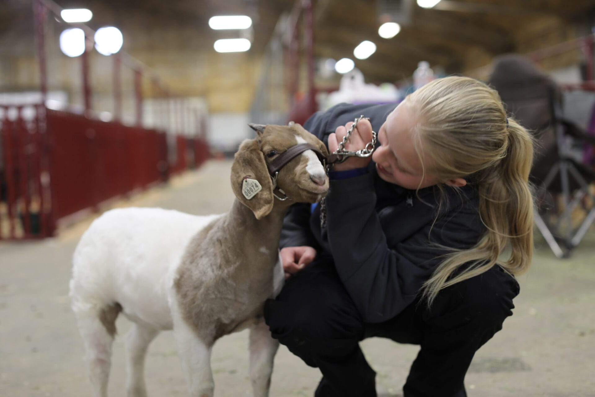 Bienvenido al blog de DATX - Digital Academy of Texas